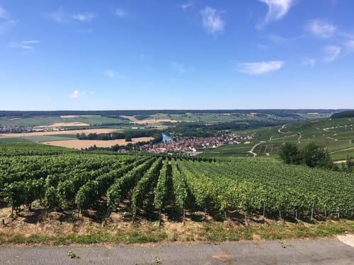 2023 Best River Trails in Montagne de Reims Regional Nature Park ...