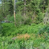 Odell Lake, Oregon - 68 Reviews, Map | AllTrails