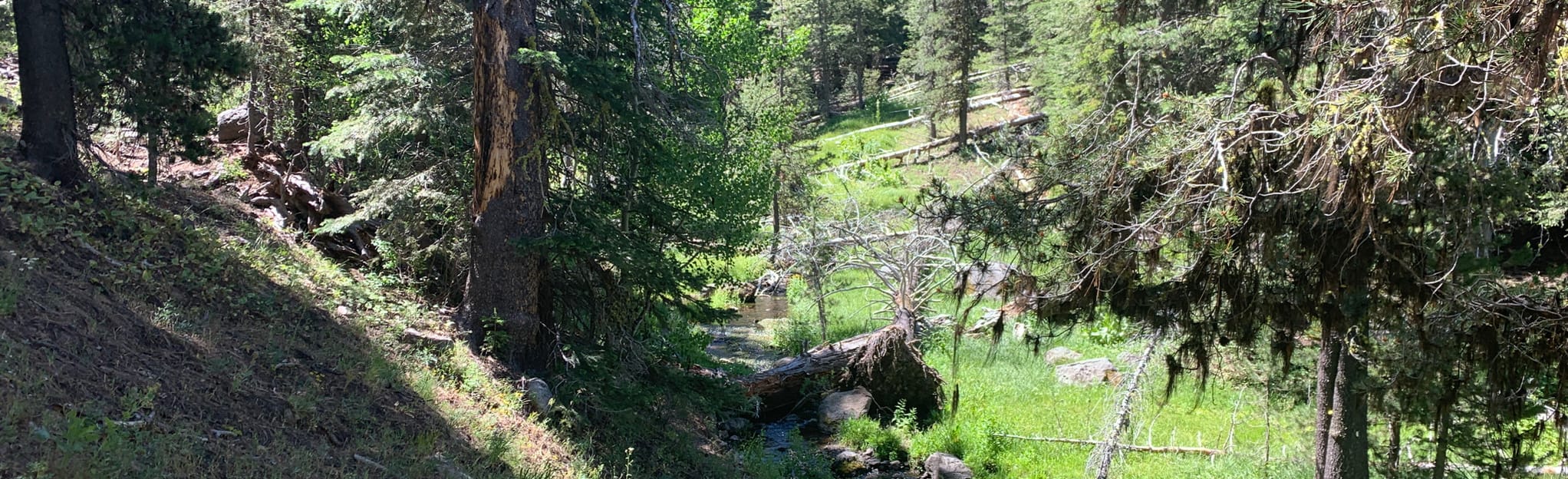 Crooked Creek, Oregon - 2 Reviews, Map | AllTrails