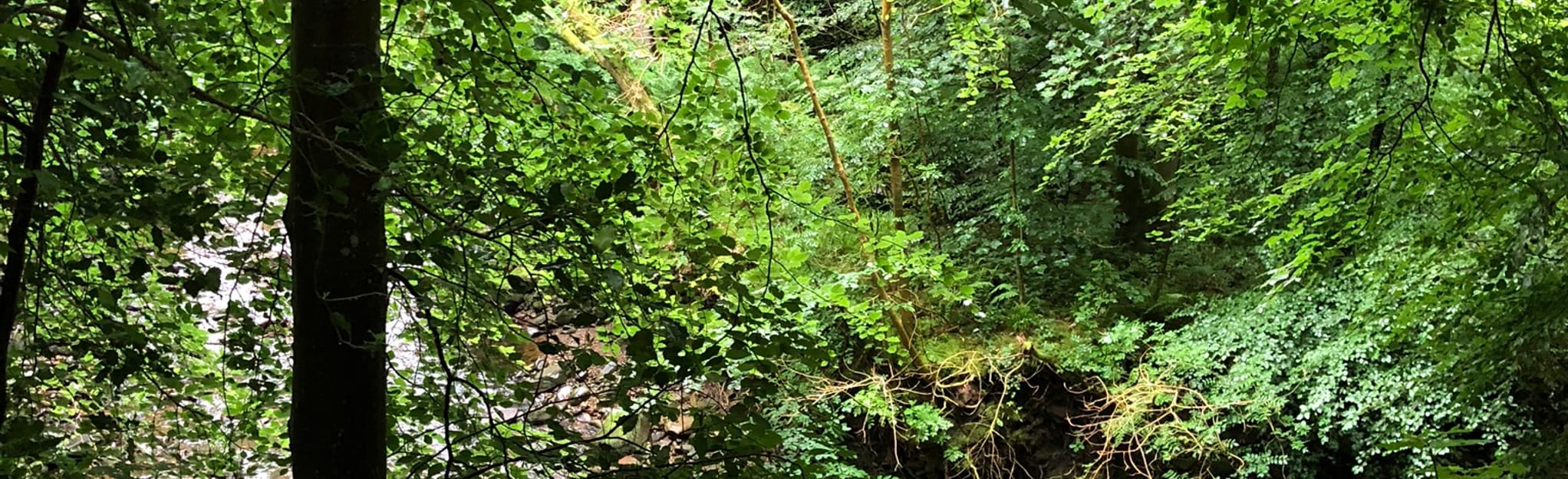 River Gelt and Brampton Quarry, Cumbria, England - 51 Reviews, Map ...