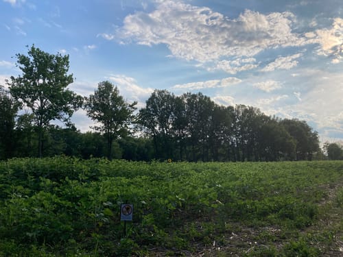 Best Hikes and Trails in Poolesville | AllTrails