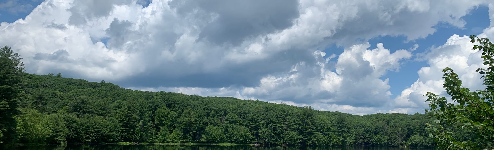 AllTrails | Tekoa WMA and Westfield Reservoir Trail: 30 Reviews, Map ...