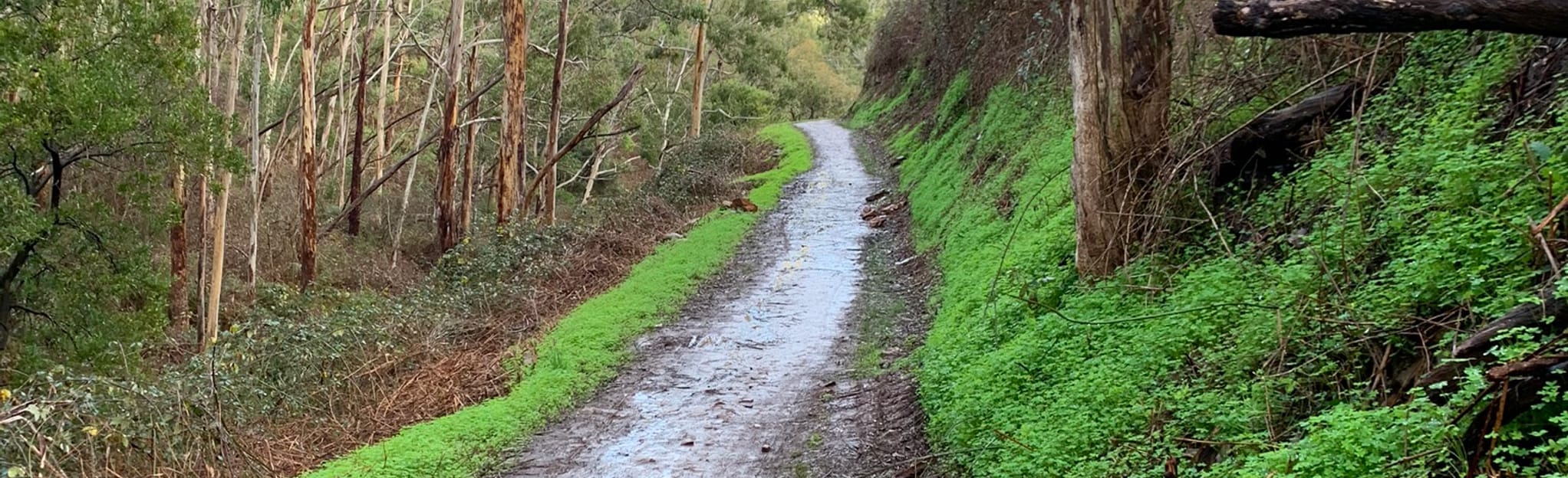 Chambers Gully to Mount Lofty Loop, South Australia, Australia - 215 ...