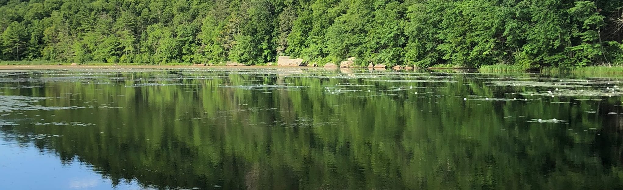 Ross's Cliff Trail Loop, Connecticut - 1,492 Reviews, Map | AllTrails