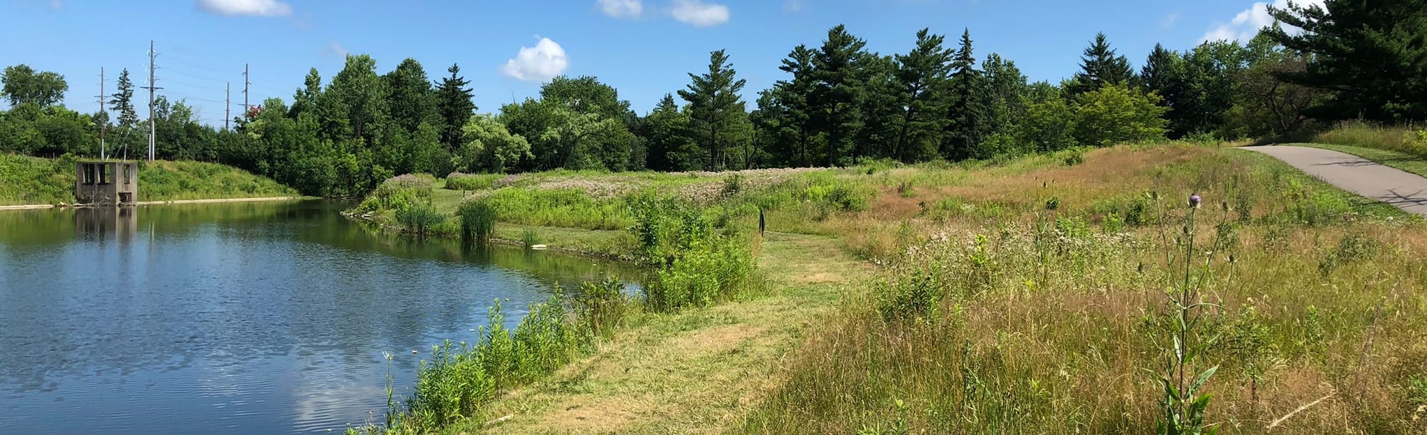 Woodpecker and Lake Trails Loop | Map, Guide - Ohio | AllTrails