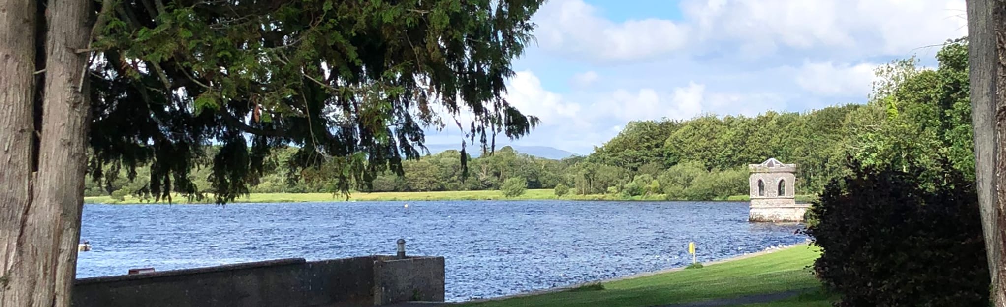 Lough Key - The Bog Garden Trail: 60 foton – County Roscommon, Irland ...