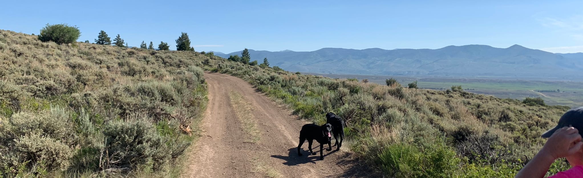 Little Wolford Mountain: 22 Reviews, Map - Colorado | AllTrails