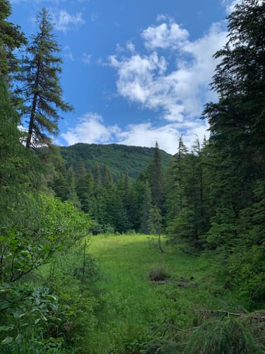 2023 Best Mountain Biking Trails in Chugach State Park | AllTrails