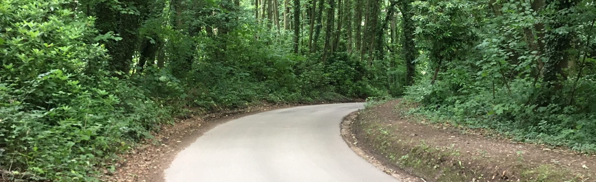 Newstead, Freckland Wood, Papplewick and Linby Circular: 79 Reviews ...