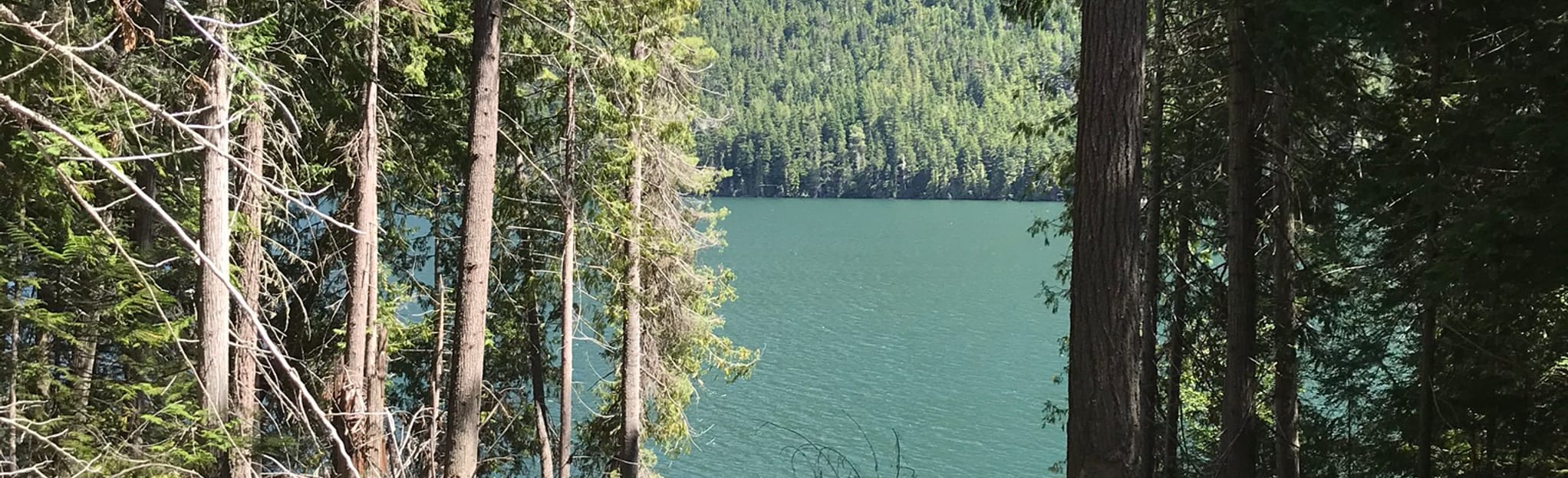 Birkenhead Lake Trail, British Columbia, Canada - 15 Reviews, Map ...