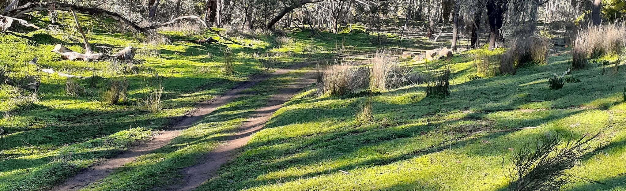 Kalimna Circuit: 10 Reviews, Map - Victoria, Australia | AllTrails