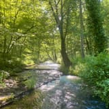 Laurel Hill, Tennessee - 83 Reviews, Map | AllTrails