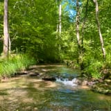 Laurel Hill, Tennessee - 83 Reviews, Map | AllTrails