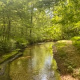 Laurel Hill, Tennessee - 83 Reviews, Map | AllTrails