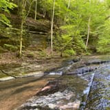 Laurel Hill, Tennessee - 86 Reviews, Map | AllTrails