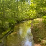 Laurel Hill, Tennessee - 86 Reviews, Map | AllTrails