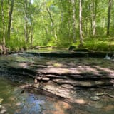 Laurel Hill, Tennessee - 86 Reviews, Map | AllTrails