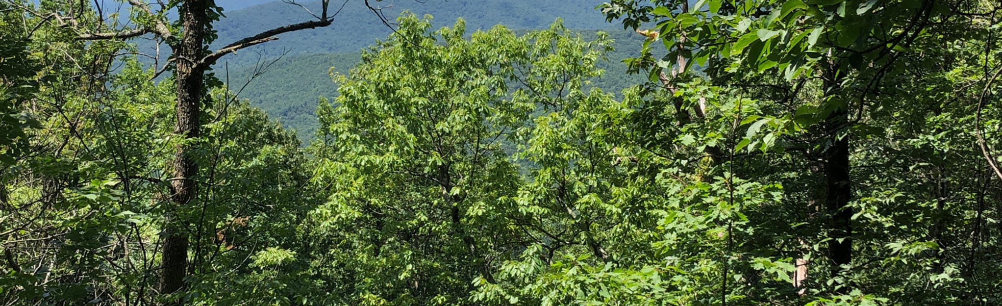 Appalachian Trail: Hightower Gap to Gooch Shelter: 153 Reviews, Map ...