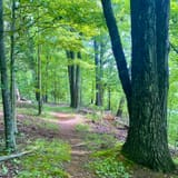 Lost Spring Trail, Tennessee - 80 Reviews, Map | AllTrails