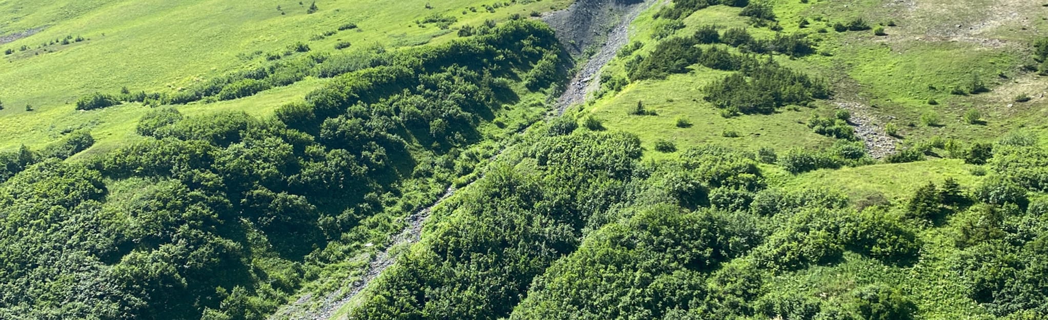 Jewel Mountain via Crow Pass Trail | Map, Guide - Alaska | AllTrails