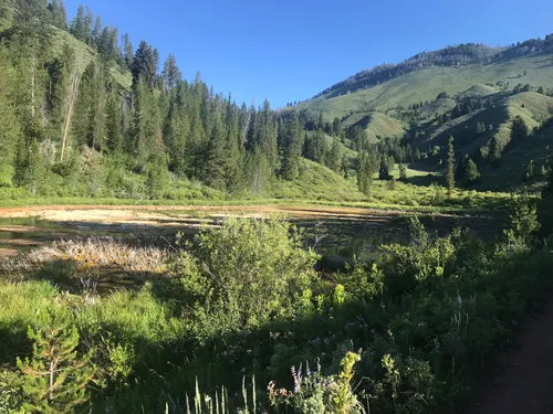 10 Best Walking Trails in Bridger-Teton National Forest - Jackson ...