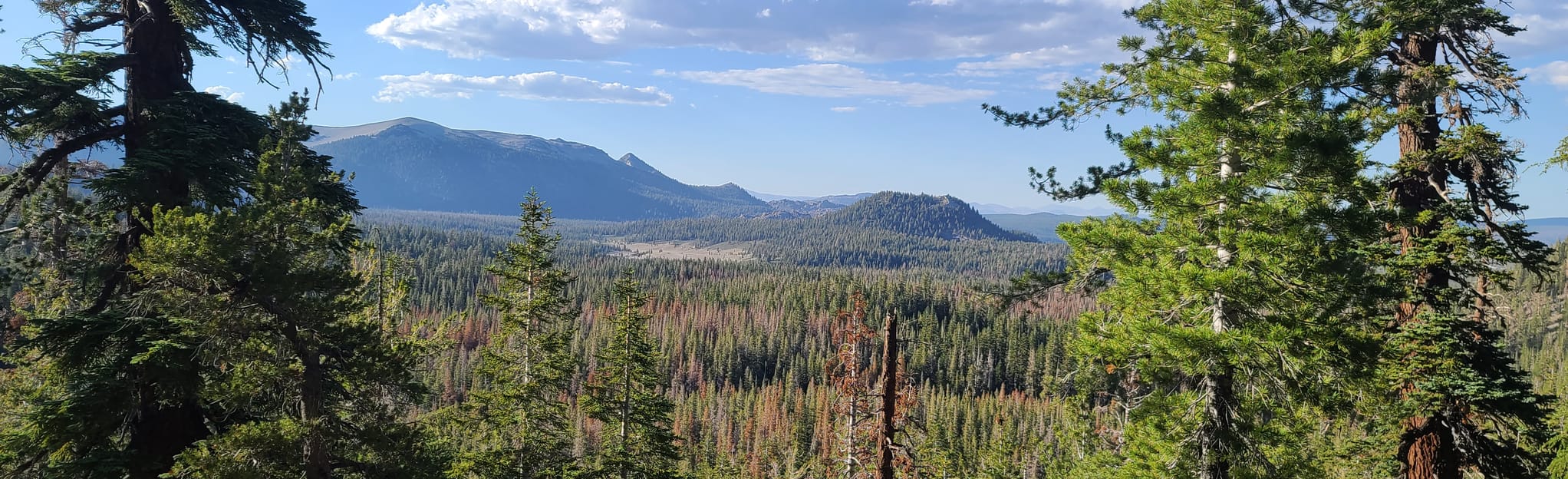 Mountain View Trail, California - 86 Reviews, Map | AllTrails