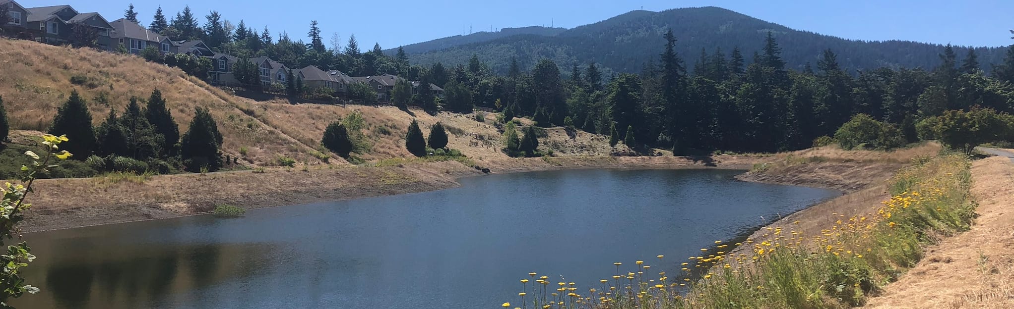 Issaquah Highlands Loop, Washington - 325 Reviews, Map | AllTrails