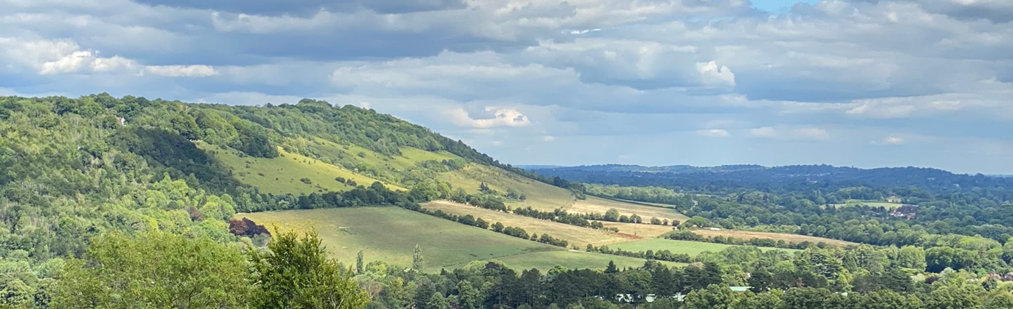 Ranmore Common Circular: 36 Reviews, Map - Surrey, England | AllTrails