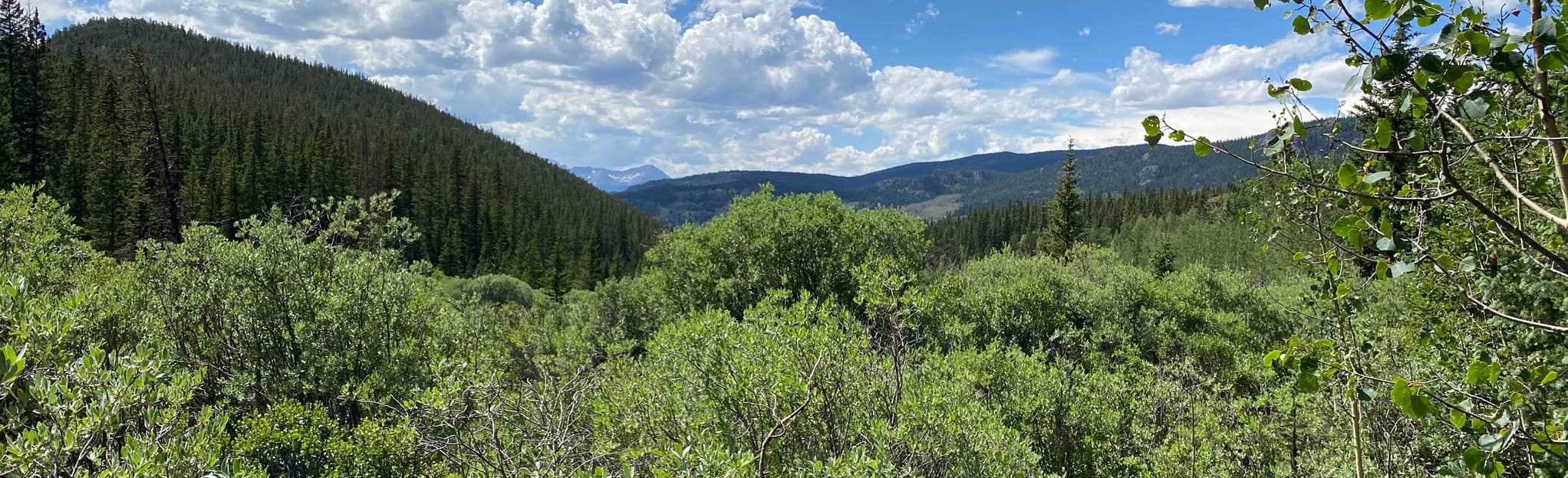 Kenosha Pass to Lost Creek Wilderness , Colorado - 176 Reviews, Map ...