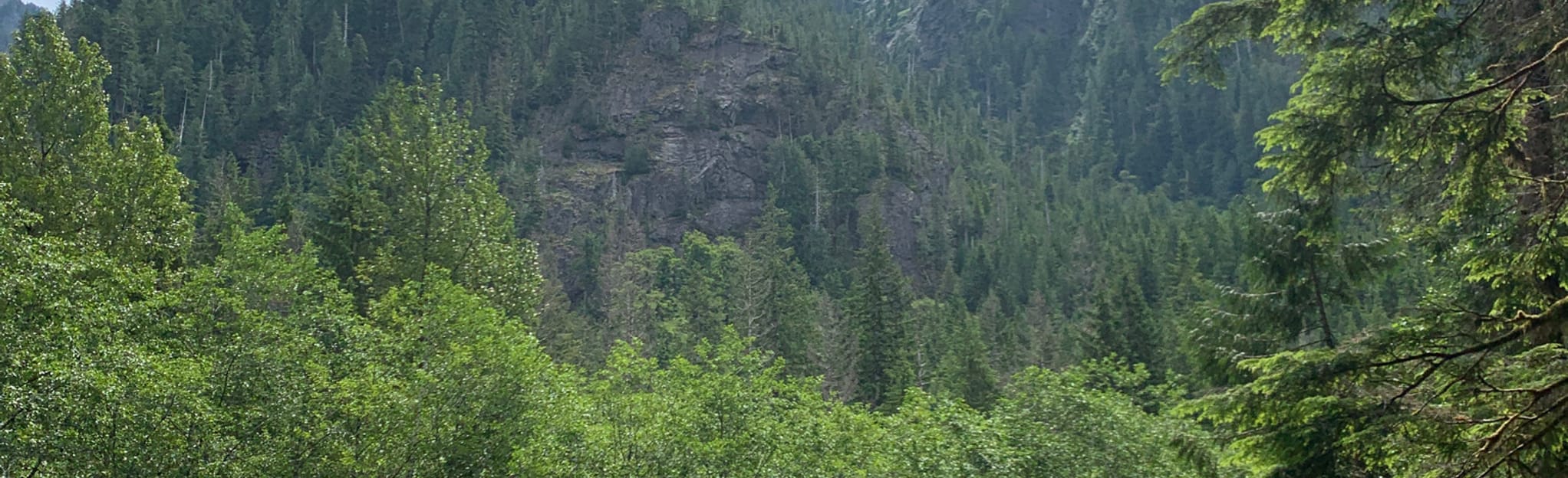 Taylor River Trail, Washington - 114 Reviews, Map | AllTrails