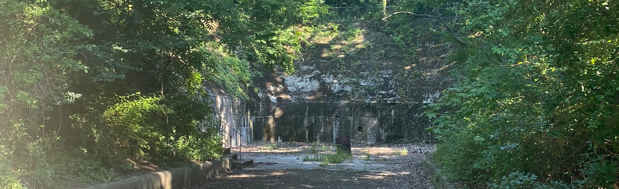 Fort Howard Park Trail: 142 Reviews, Map - Maryland | AllTrails