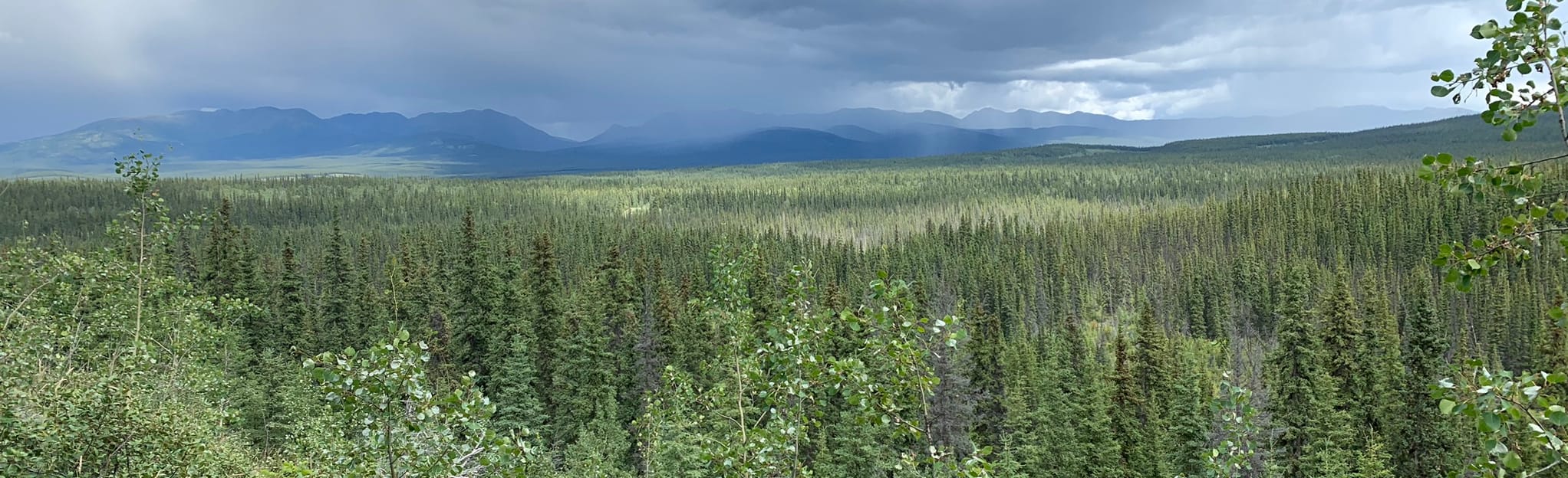 Swamp Sisters' Lookout Loop, Yukon, Canada - 2 Reviews, Map | AllTrails