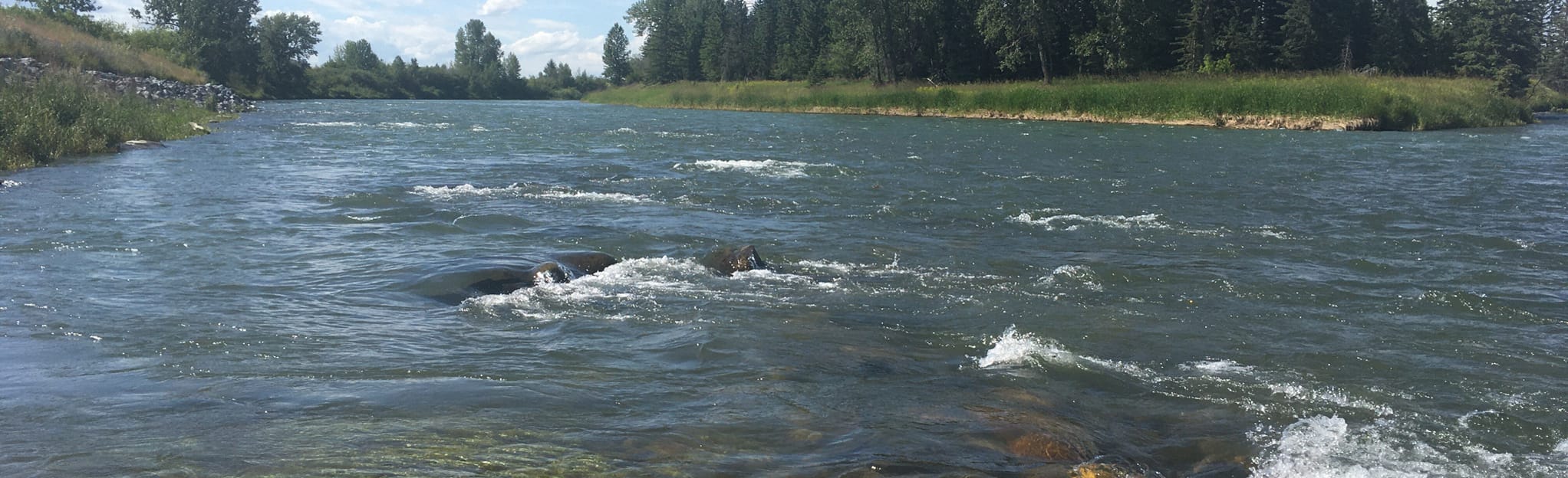 Pine Creek Trail, Alberta, Canada - 20 Reviews, Map | AllTrails