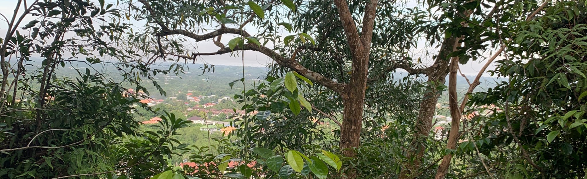 Bukit Dadap Extended Loop, Brunei and Muara, Brunei - 33 Reviews, Map ...