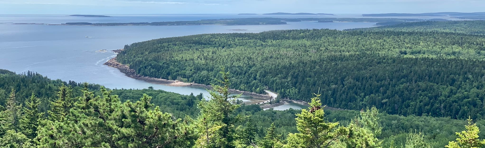 Gorham Mountain - Maine | AllTrails