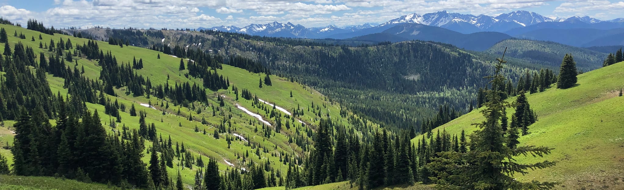 Heather Trail, British Columbia, Canada - 89 Reviews, Map | AllTrails