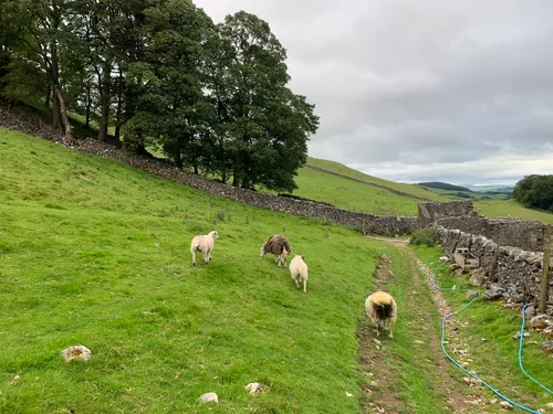 10 Best Walking Trails in Settle | AllTrails