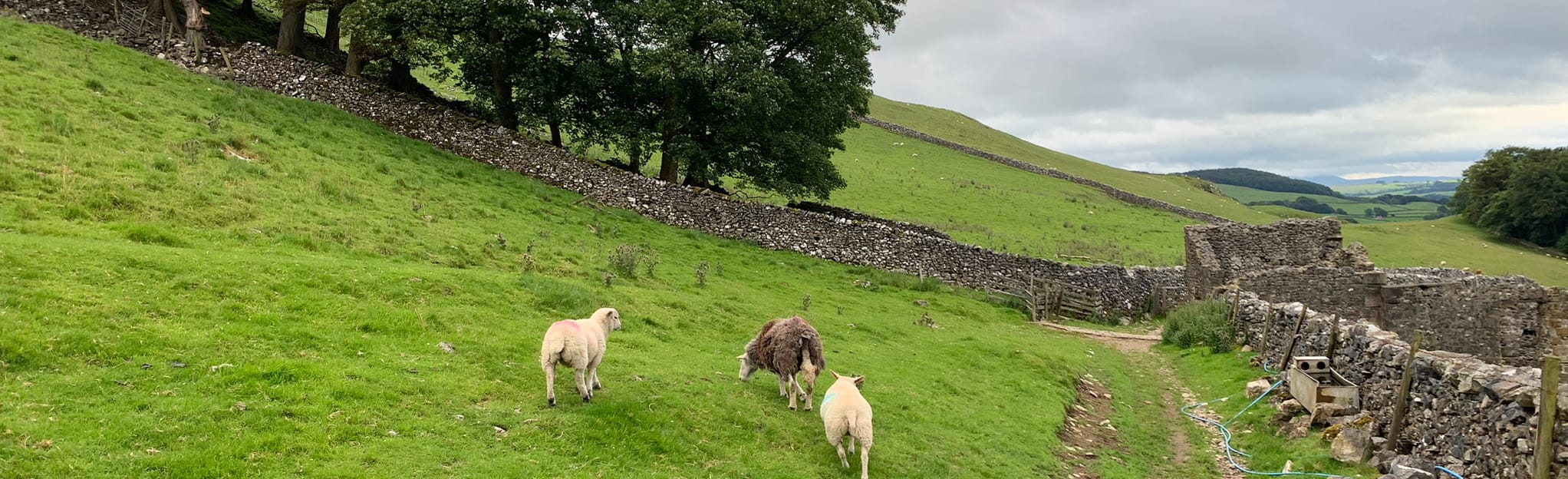 Stainforth and Settle Circular, North Yorkshire, England - 169 Reviews ...