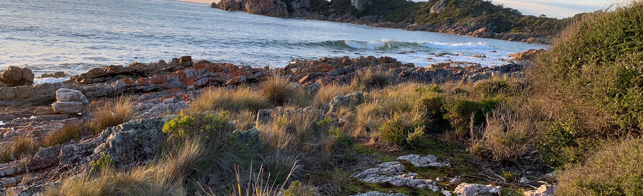 Cathedral Rocks Track: 35 Reviews, Map - Tasmania, Australia | AllTrails