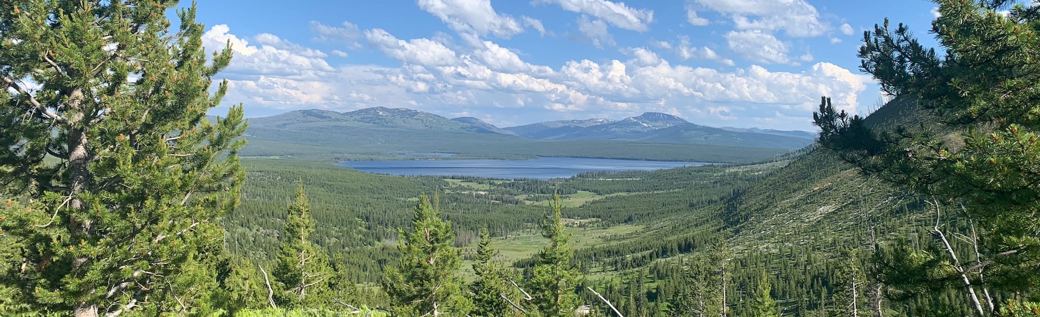 Heart Lake Trail: 122 Reviews, Map - Wyoming | AllTrails