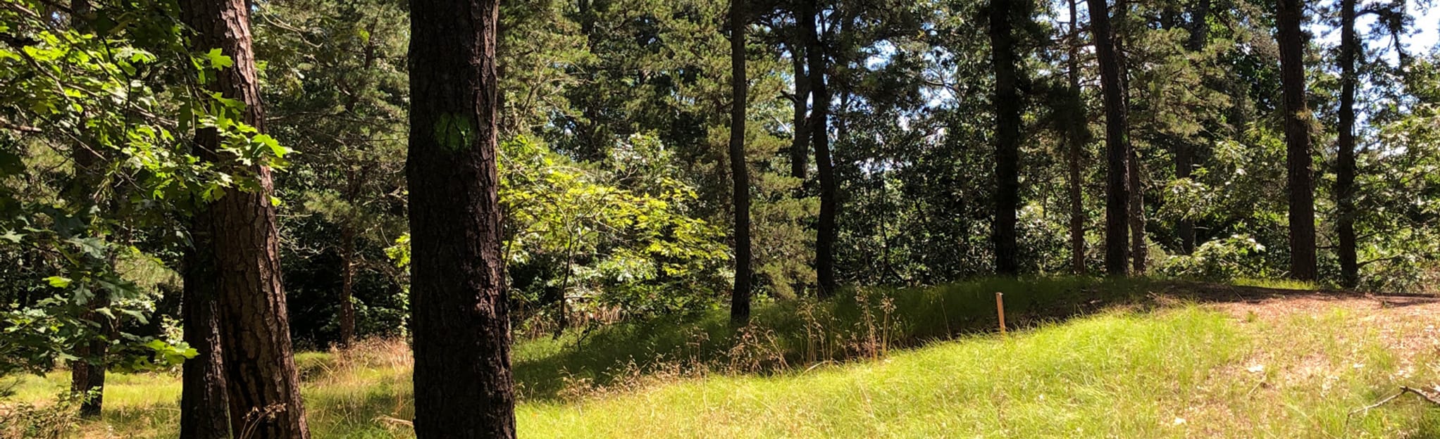 Agawam River Trail, Massachusetts - 27 Reviews, Map | AllTrails