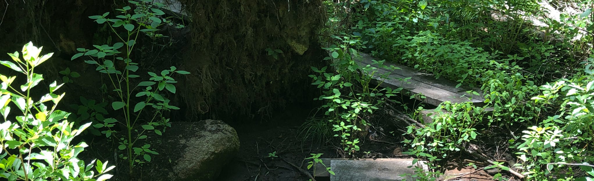 AllTrails | Douglas S Westgate Conservation Area Loop: 116 Reviews, Map ...