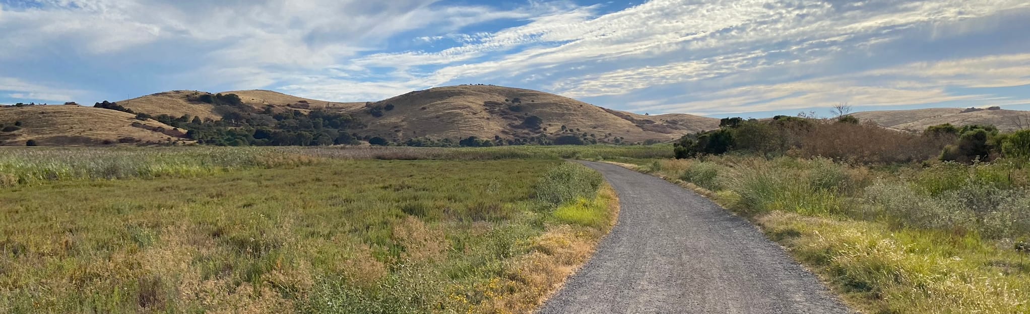 Chochenyo, Red Hill and Meadowlark Loop: 97 Reviews, Map - California ...