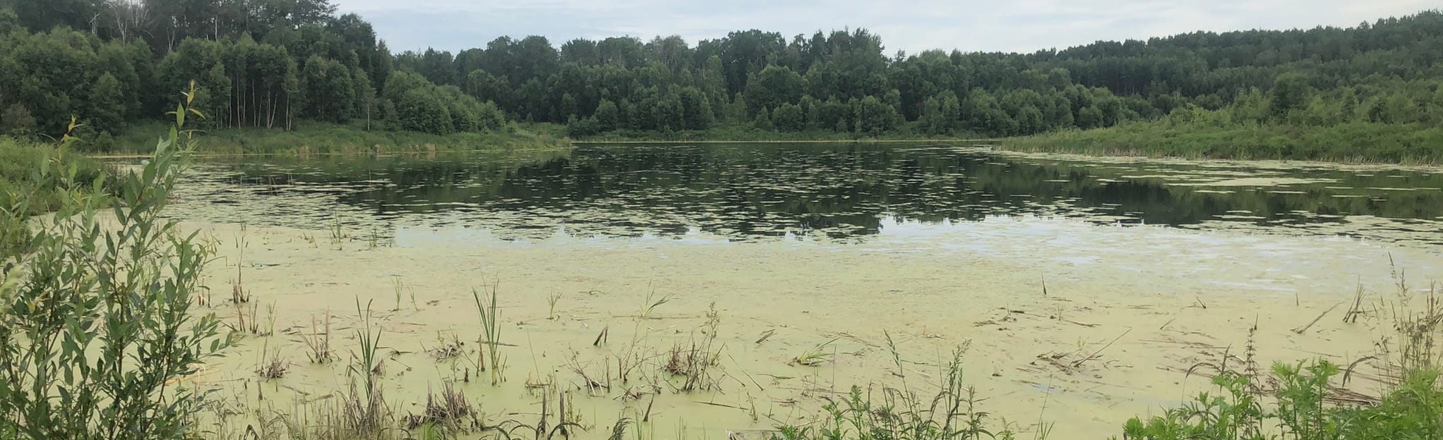 Cameron Lakes Nature Loop, Alberta, Canada - 117 Reviews, Map | AllTrails