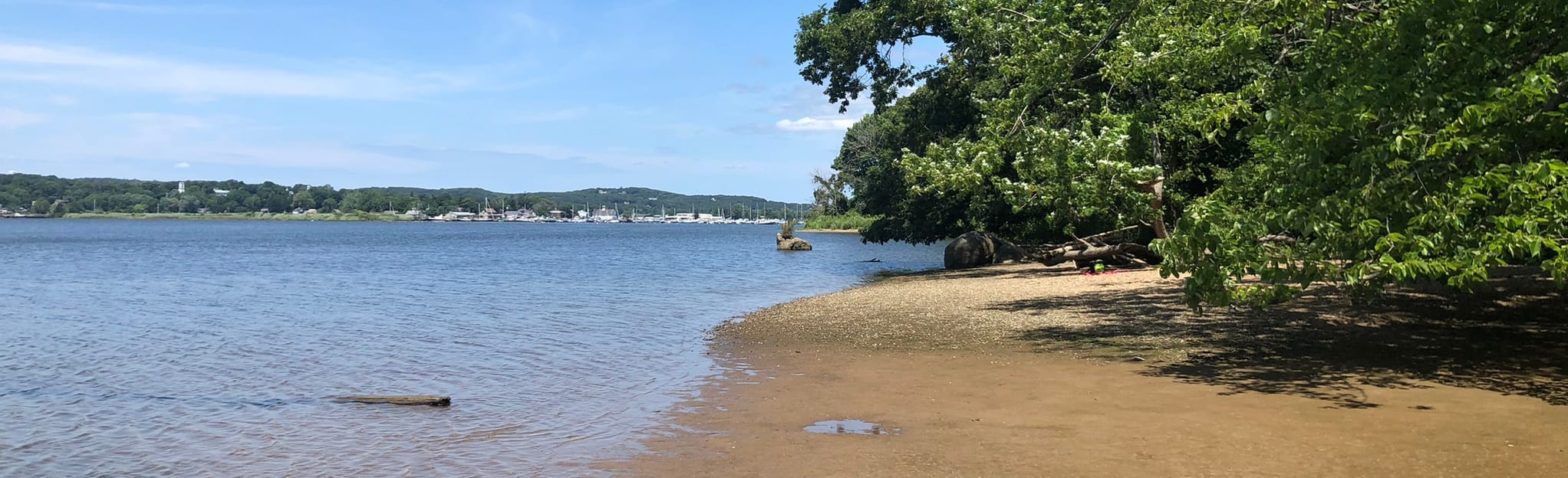 Turtle Creek Wildlife Area, Connecticut - 490 Reviews, Map | AllTrails