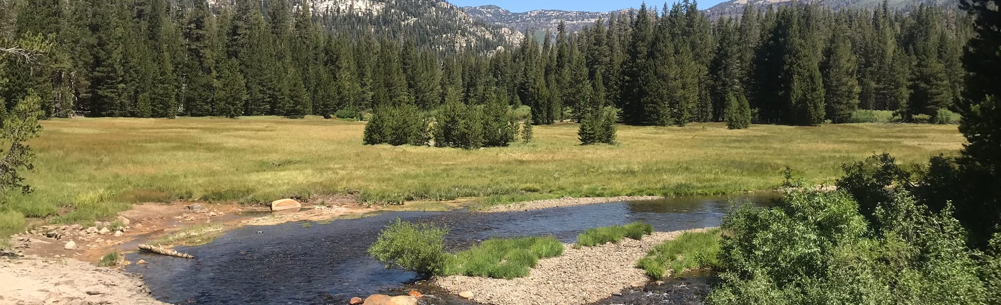 Minaret Falls Trail: 152 Reviews, Map - California | AllTrails