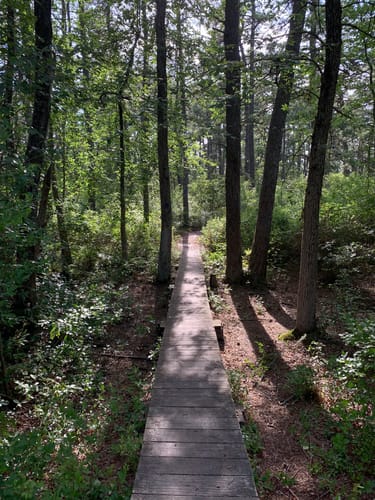 Best Hikes and Trails in Jakes Branch County Park | AllTrails