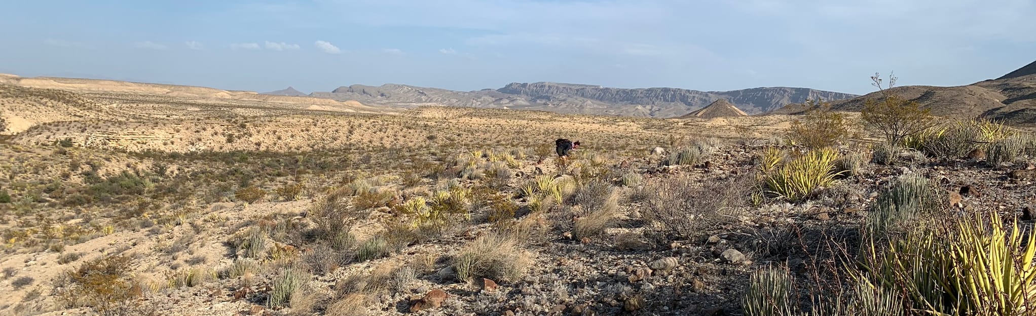 Contrabando Trail System to Water Hole, Texas - 76 Reviews, Map | AllTrails