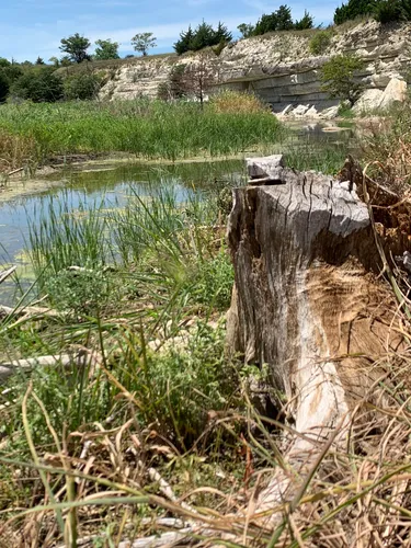 Best Hikes and Trails in Webster State Park | AllTrails