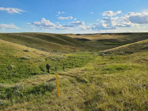 10 Best Hikes and Trails in Grasslands National Park | AllTrails